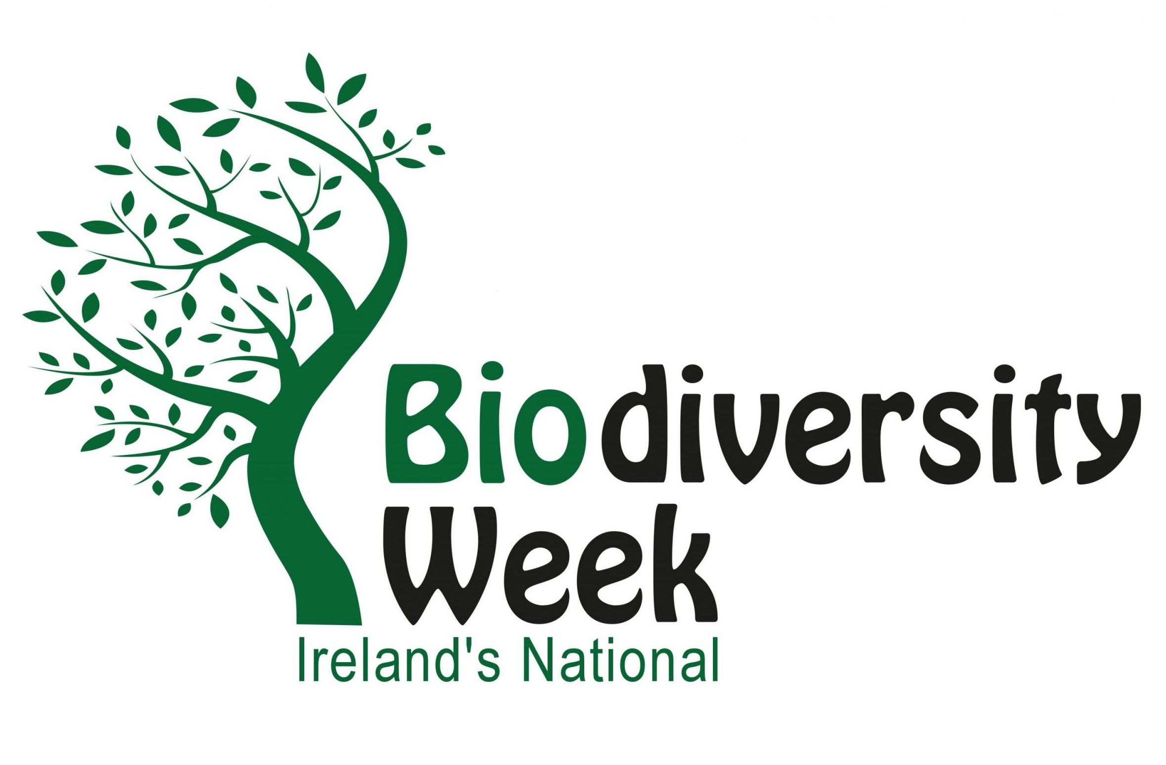 National Biodiversity Week 2026 - Leitrim County Council